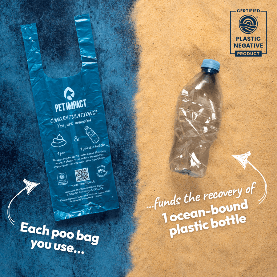 How to Compost Dog Poo (A Complete Guide) – Pet Impact